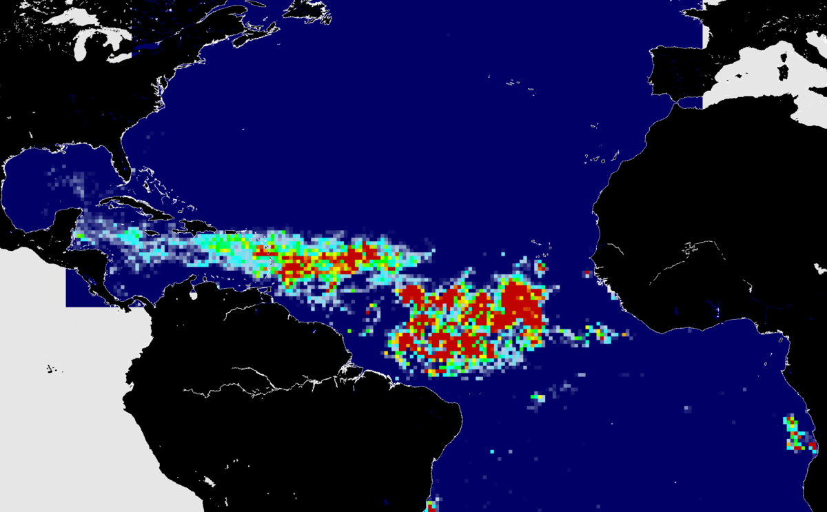 Siege of the Sargassum - Gulf Shore Association of Condominiums